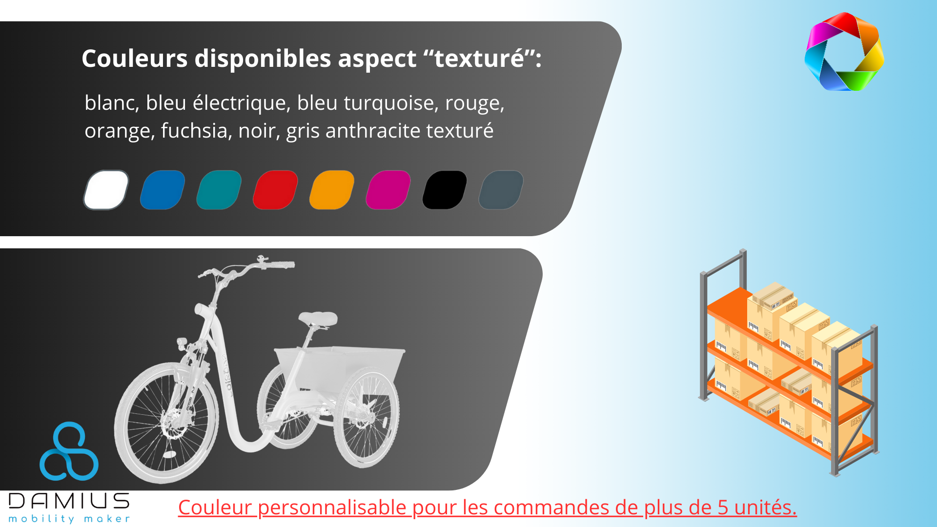 Le Tricycle Parfait pour les Professionnel ! L'Evasion Cargo Damius